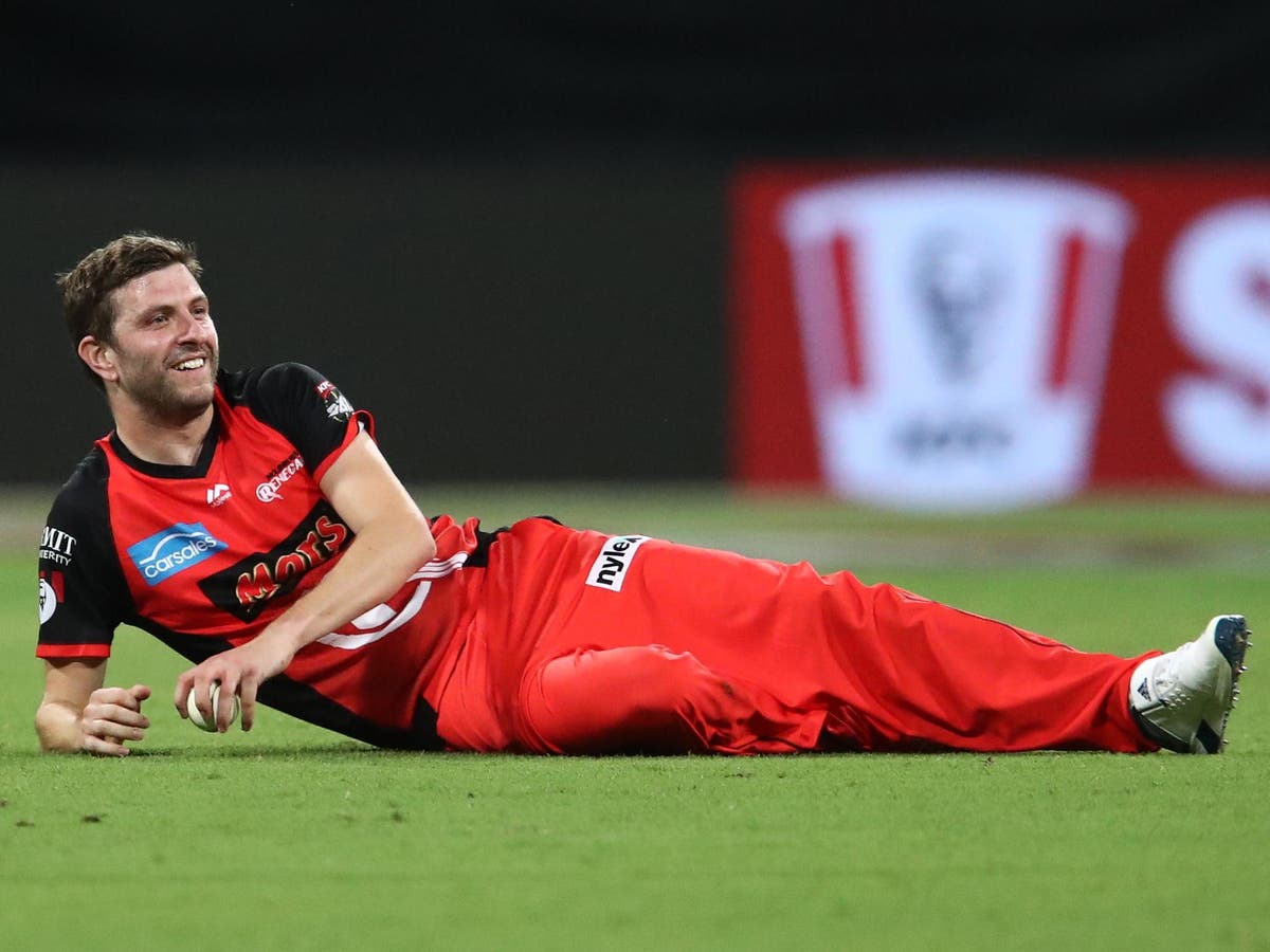 Harry Gurney ready for IPL challenge after winter of dizzying success ...