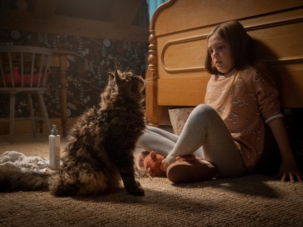 Pet Sematary review: Captures Stephen King’s spirit, but fails in its ...