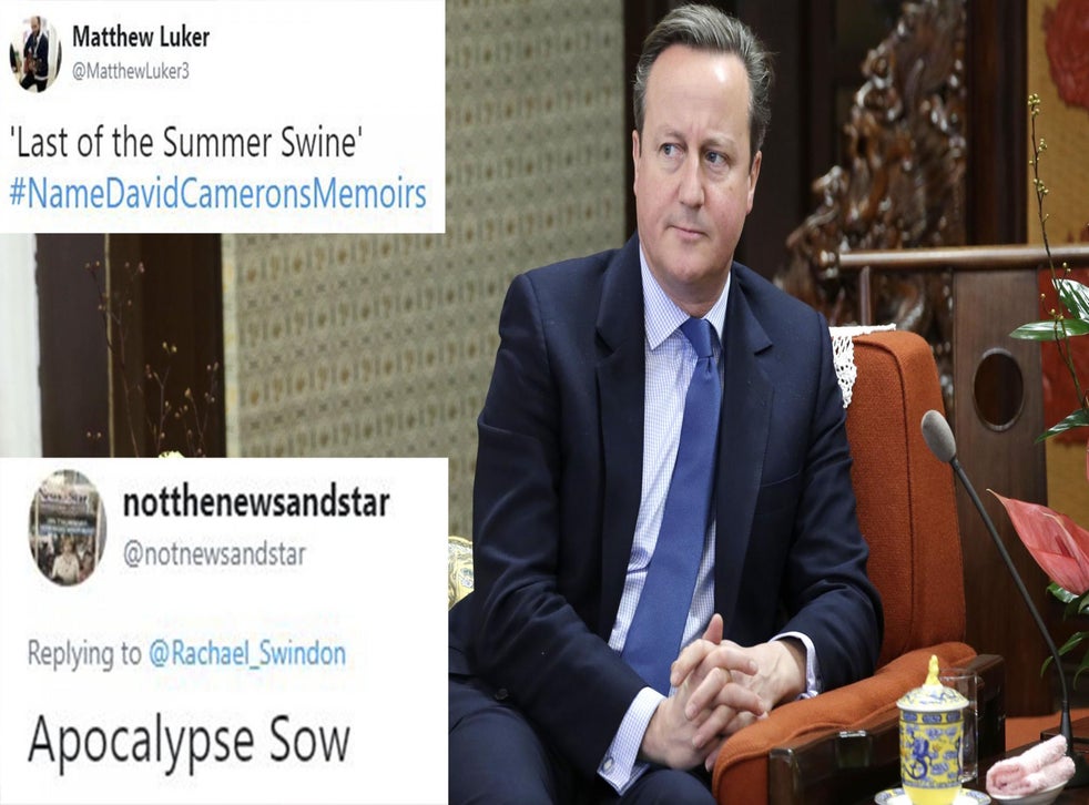 David Cameron book: 12 hilarious title suggestions for ex-PM's memoirs ...