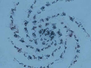 Game of Thrones theories: Night King symbol in season 8 might unlock ...