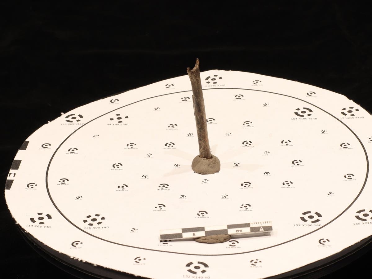 Roman-era rabbit bone reveals creatures arrived in Britain 1,000 years ...