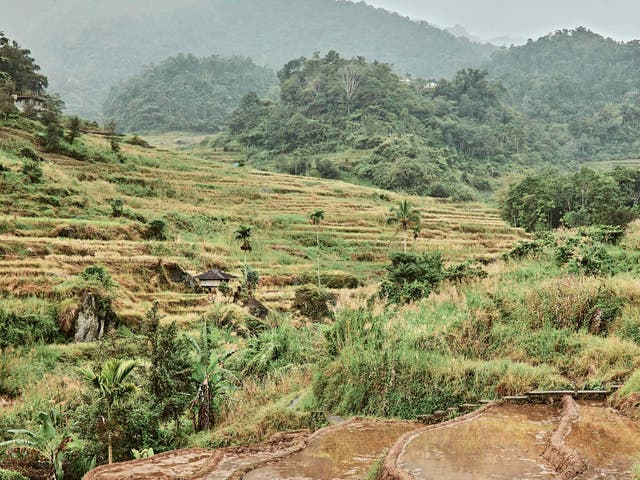 Filipino food - latest news, breaking stories and comment - The Independent