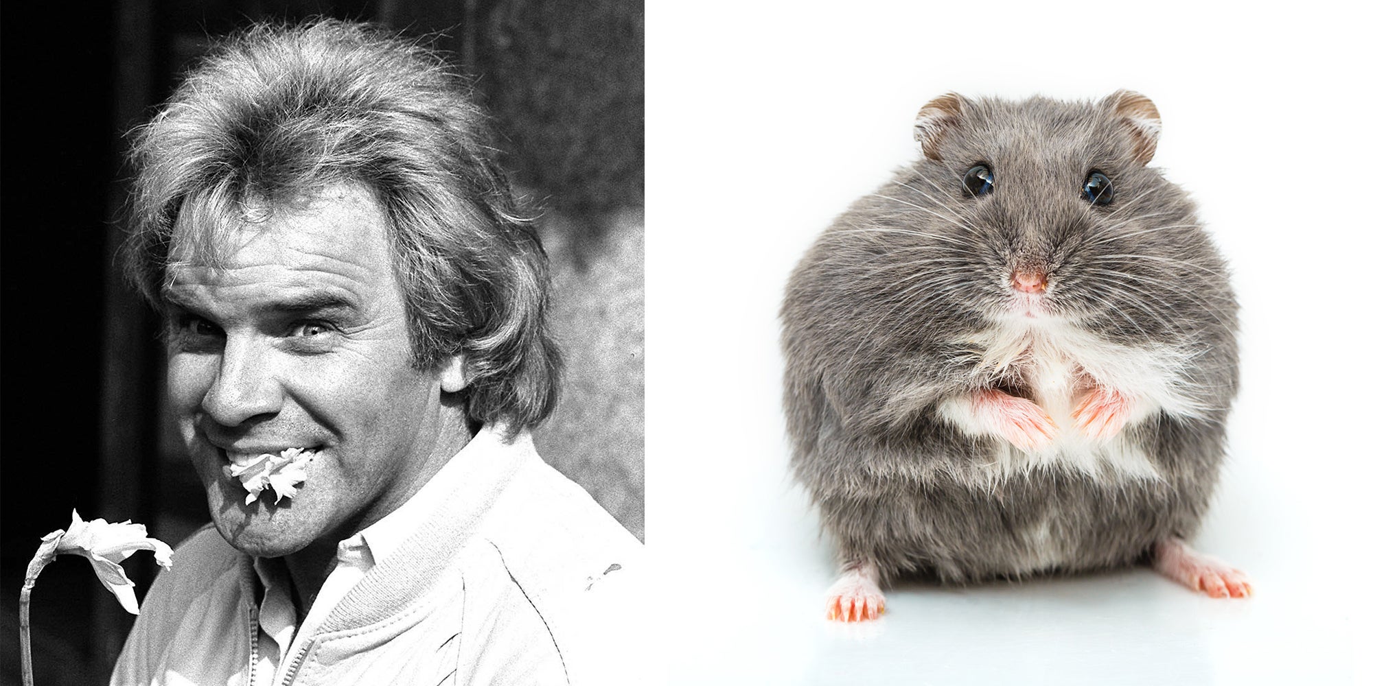 Freddie Starr death: This is why people are talking about the comedian ...