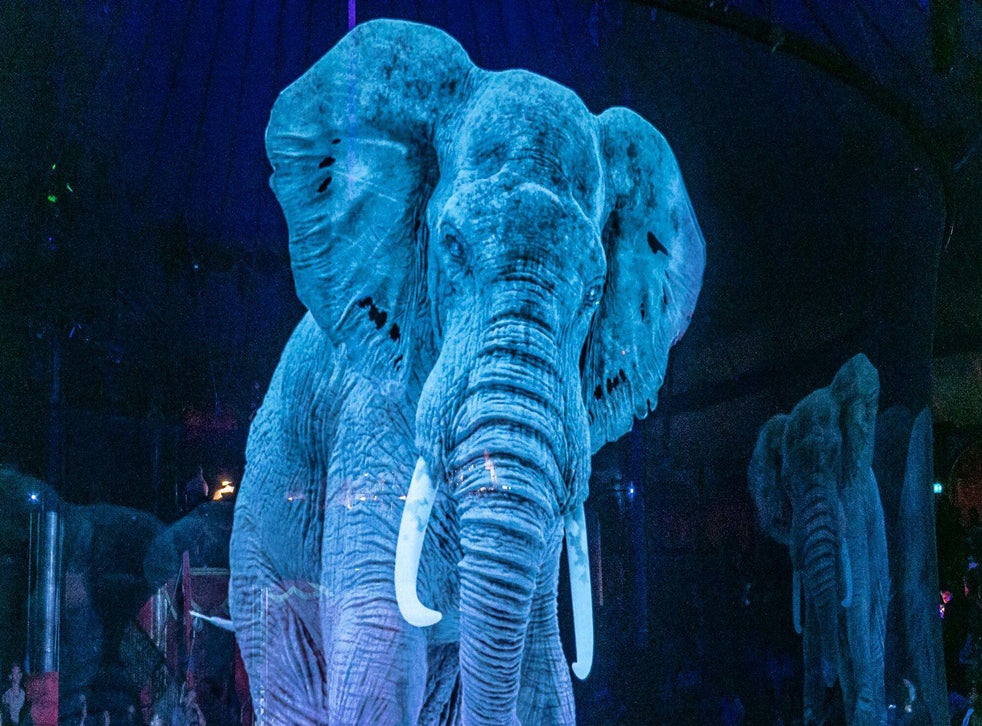 German circus Roncalli use amazing 3D holograms in place of animals to ...