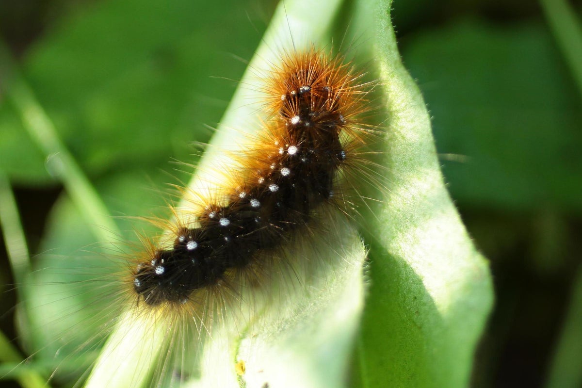 The Top 10: Unused Band Names | The Independent | The Independent