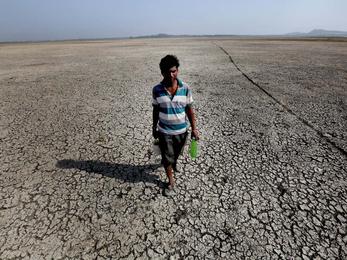 Man killed in fight over water as India grapples with heatwave | The ...