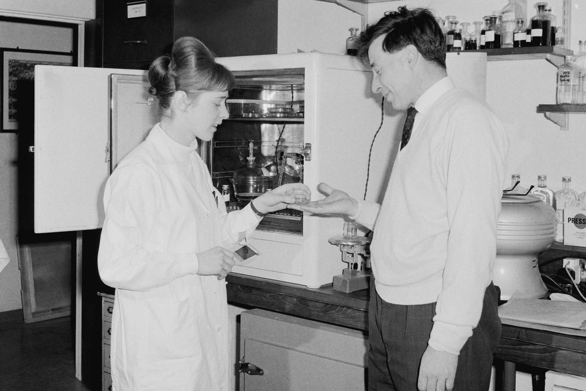 Jean Purdy: Woman who helped pioneer IVF left off commemorative plaque ...