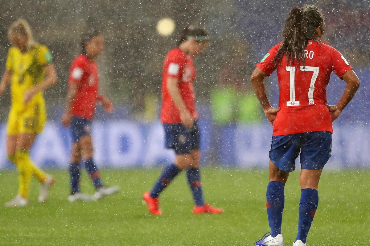 Women's World Cup 2019: Chile vs Sweden temporarily suspended by ...
