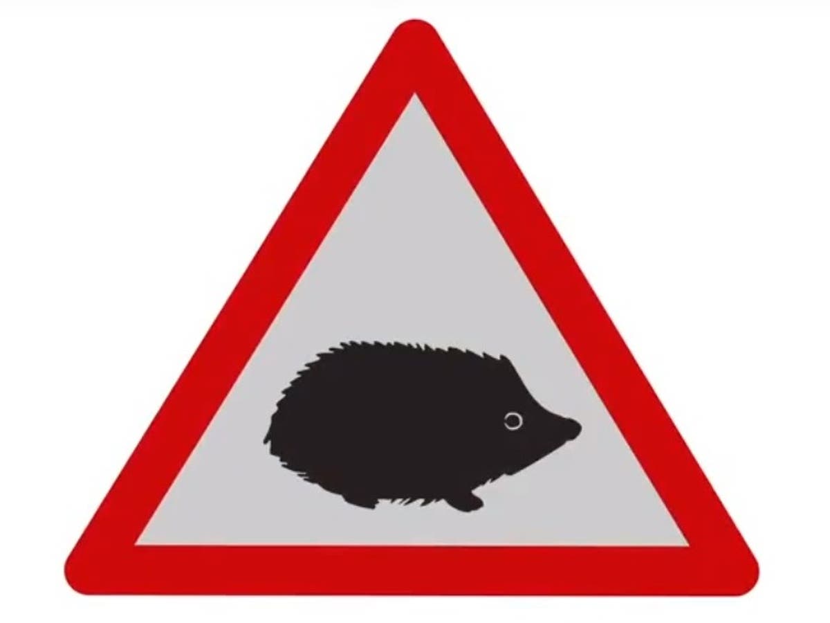 New hedgehog road sign launched to warn drivers of small wildlife | The ...