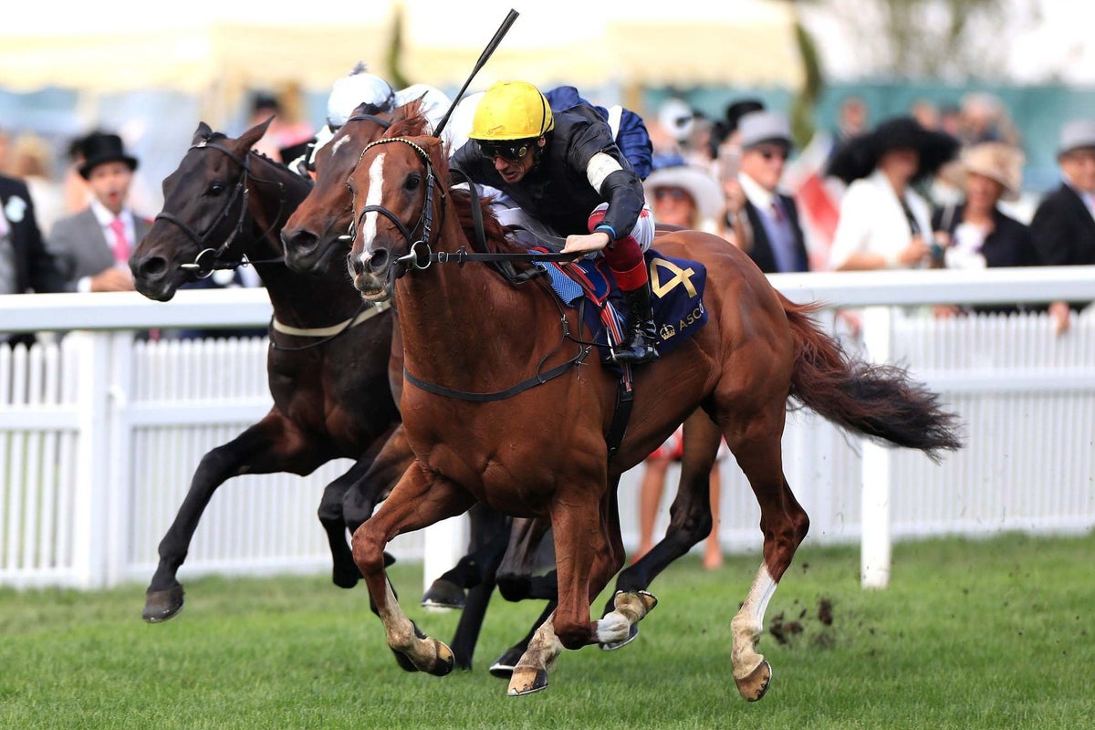 Fast Horse Racing Results Today | The Independent