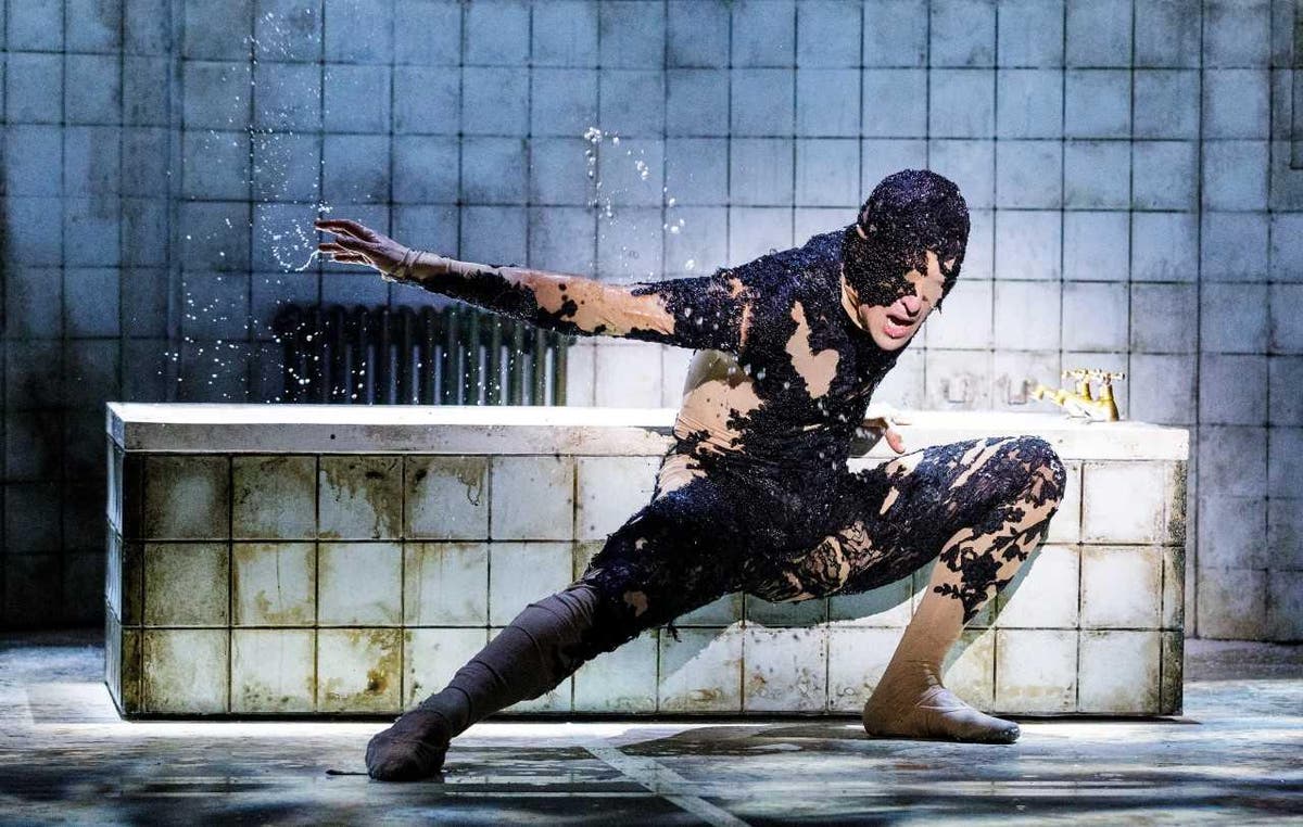 The Mother review, Queen Elizabeth Hall: Feverish images spill off the ...