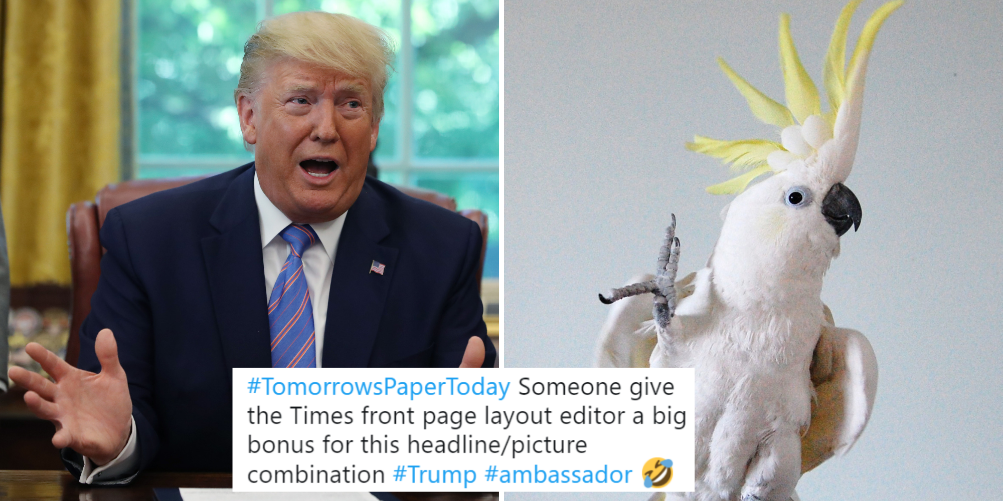 People think this story is trolling Trump's latest tantrum with a ...