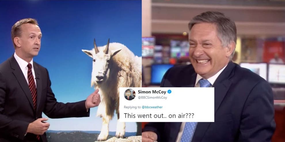 Simon McCoy bursts into laughter during segment about goats on BBC News ...