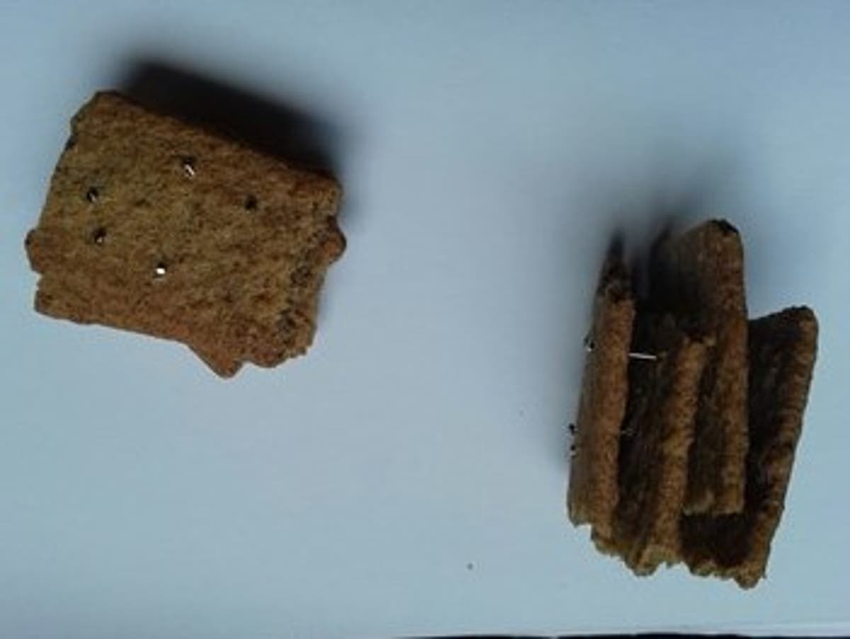 Dog biscuits found studded with nails in public park | The Independent ...