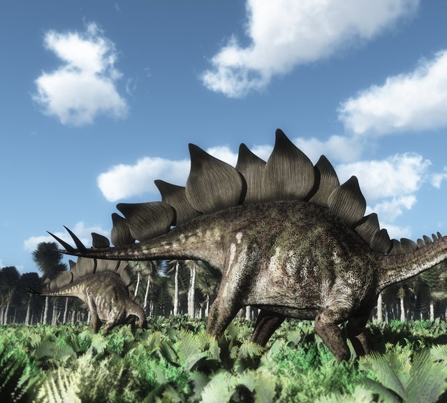 Lewis Pennock | The Independent