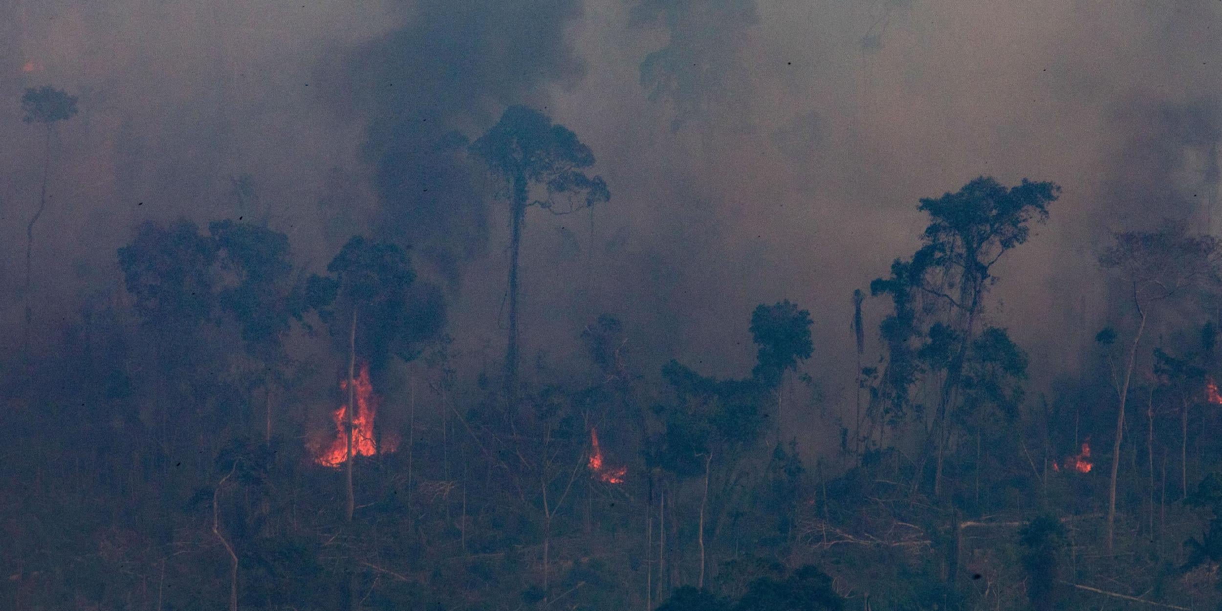 Amazon fires: More fires are burning in the sub-Saharan desert than the ...