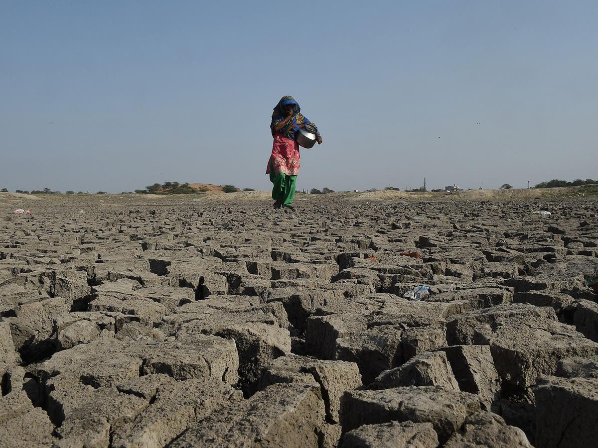 The ‘water women’ quenching thirst in India’s parched villages | The ...