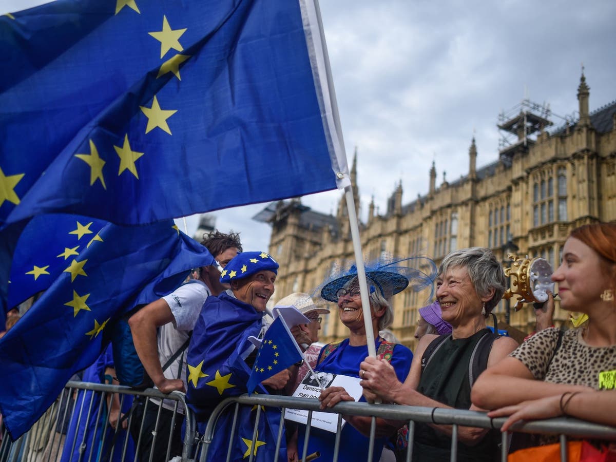 Brexit: Remainers have nothing to fear from a general election | The ...