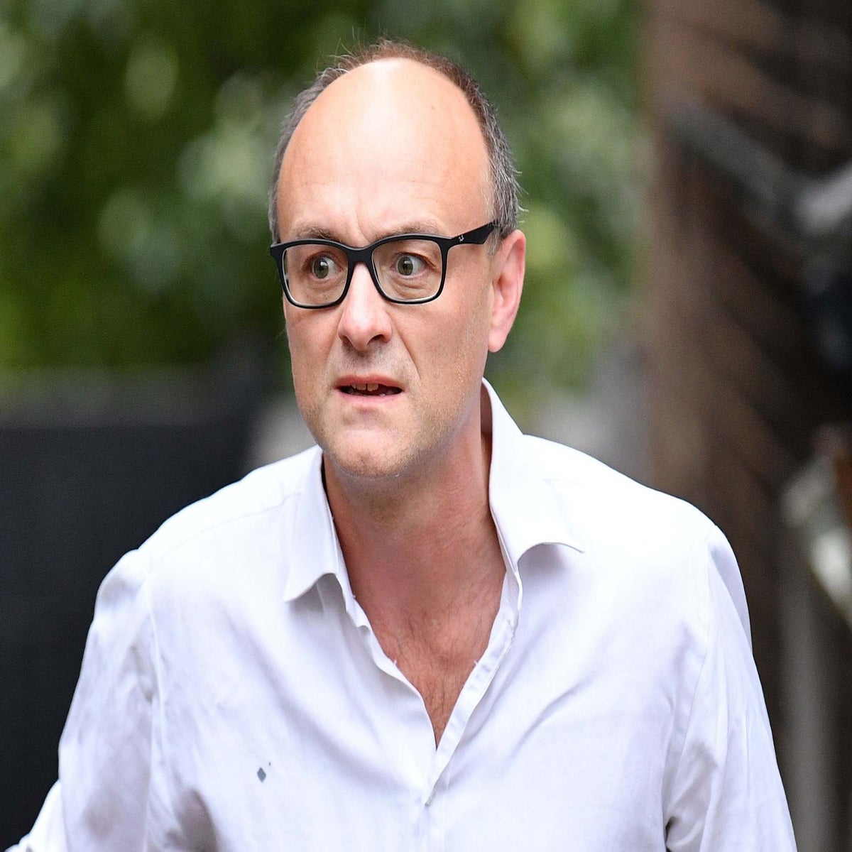 Timothy Look's Instagram, Twitter & Facebook on IDCrawl