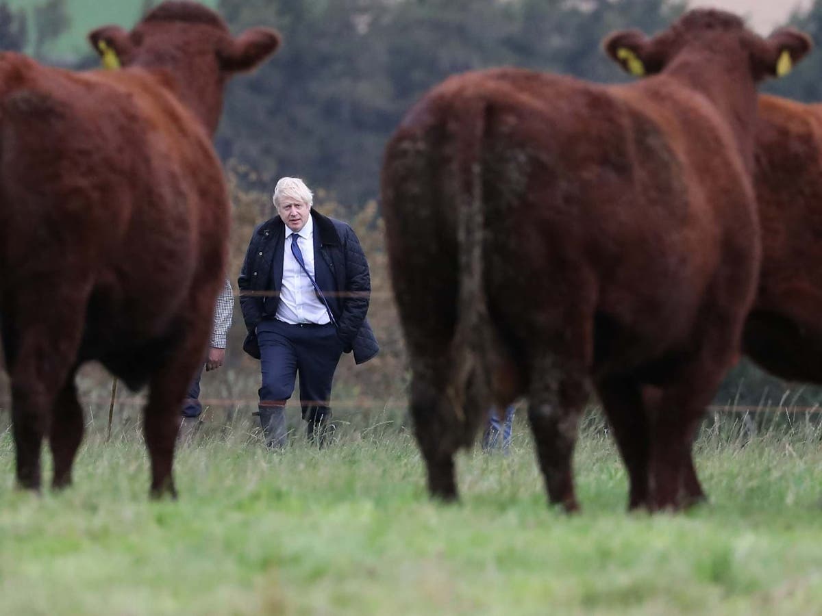 Boris Johnson’s increasingly desperate tactics suggest he has lost the ...