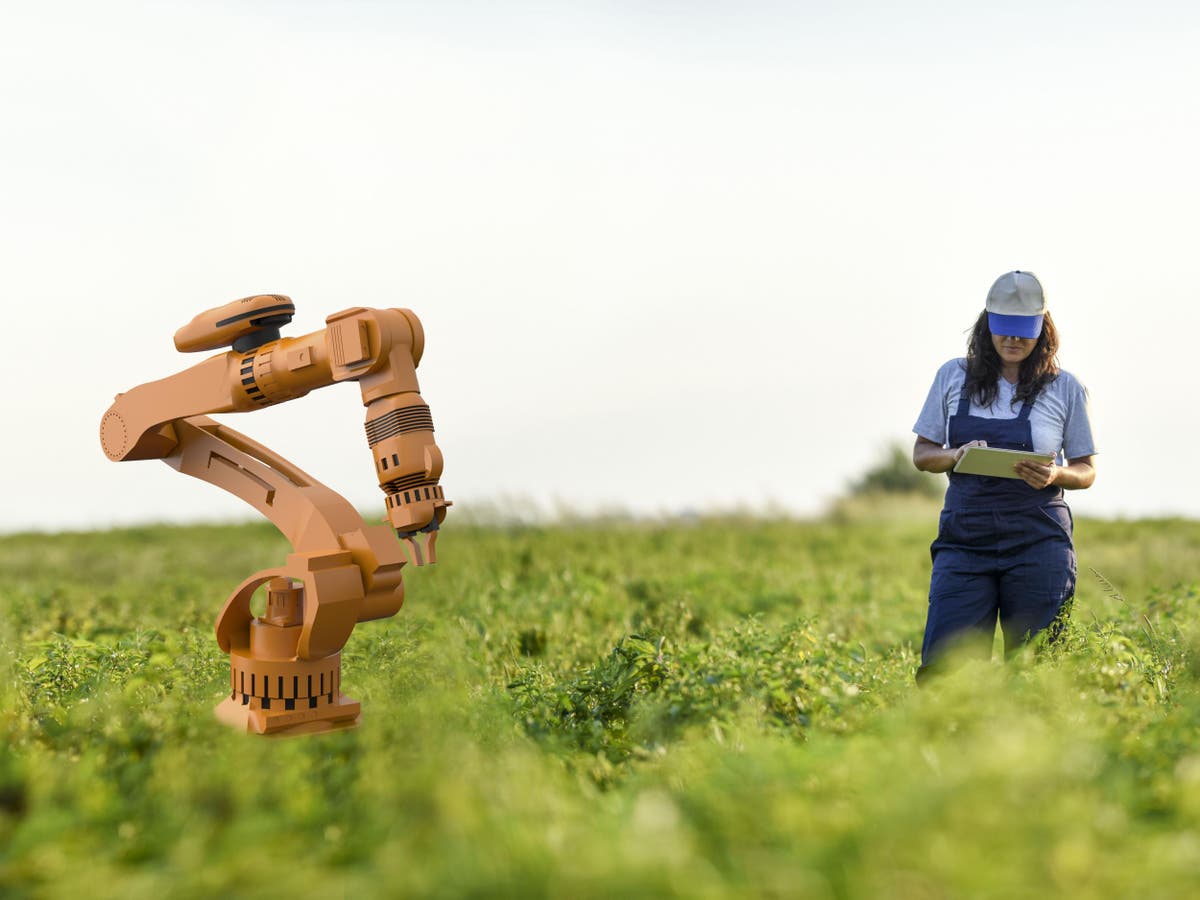 What will more advanced technology mean for climate change? | The ...