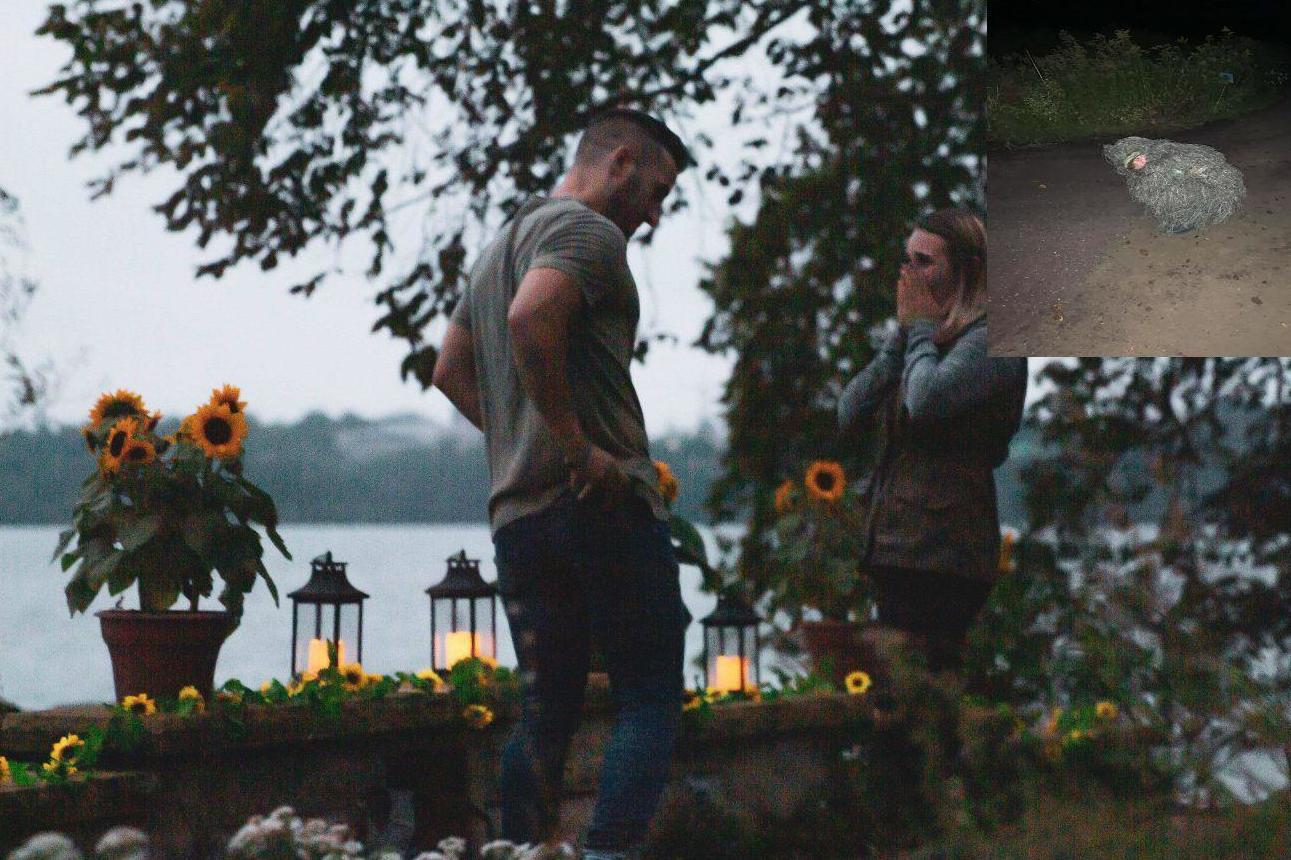 Woman goes viral for dressing as a bush to capture her sister's ...