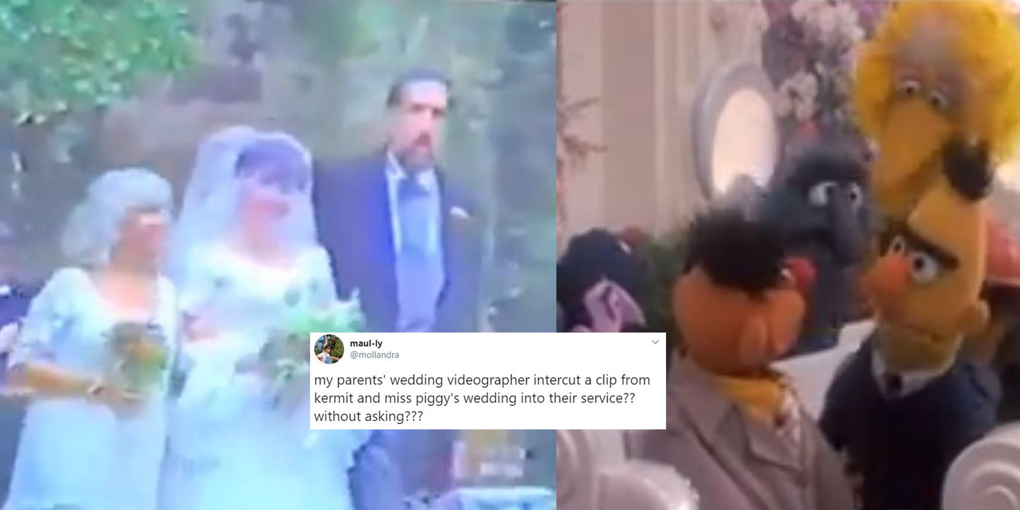 Muppets edited into couples wedding video in hilarious viral clip ...