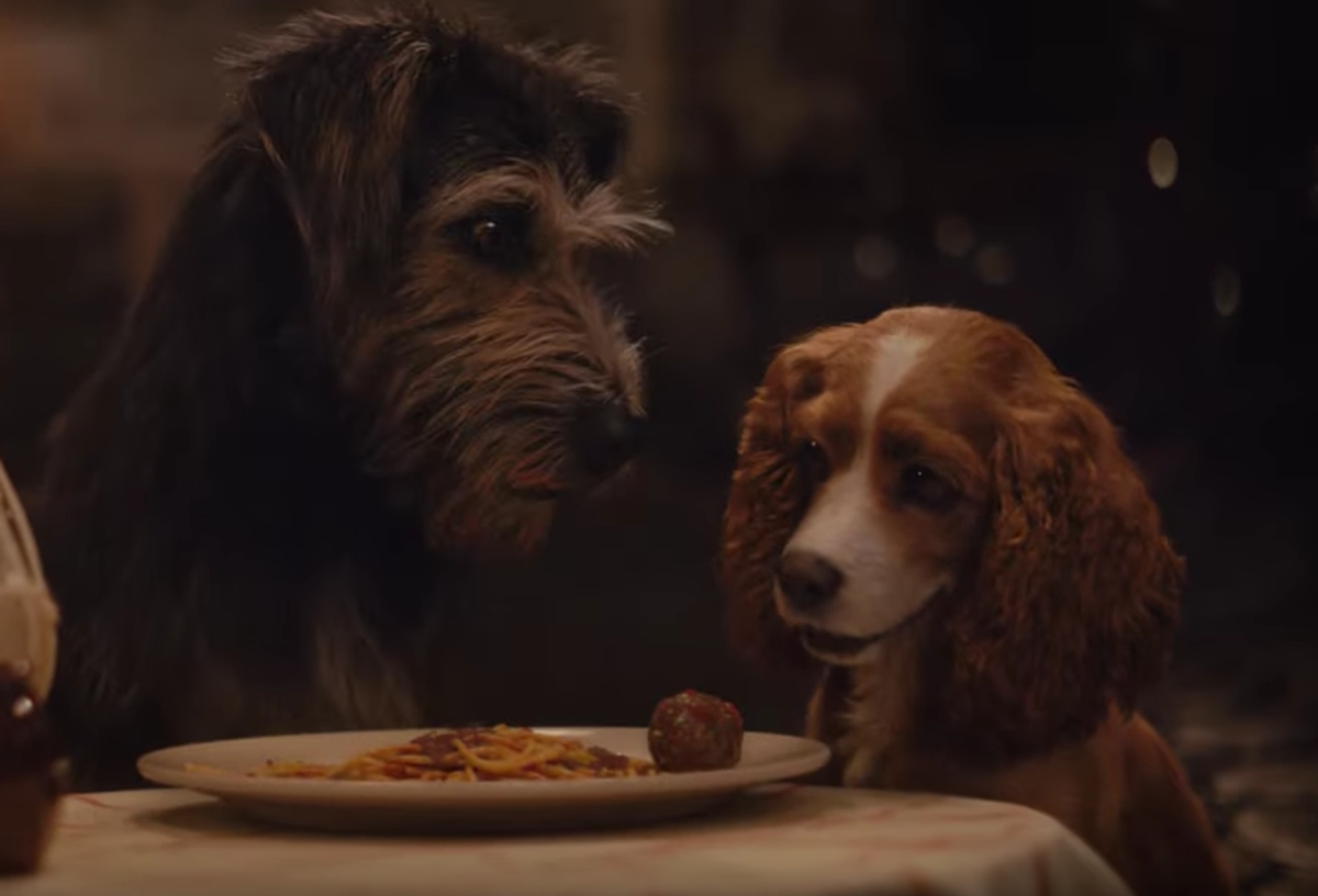 Lady and the Tramp: Trailer for live-action Disney+ film shows iconic ...