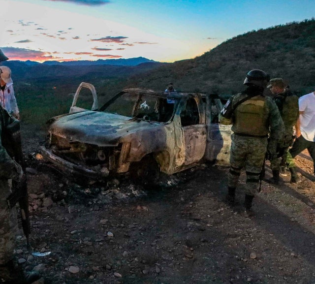 Cartel - latest news, breaking stories and comment - The Independent