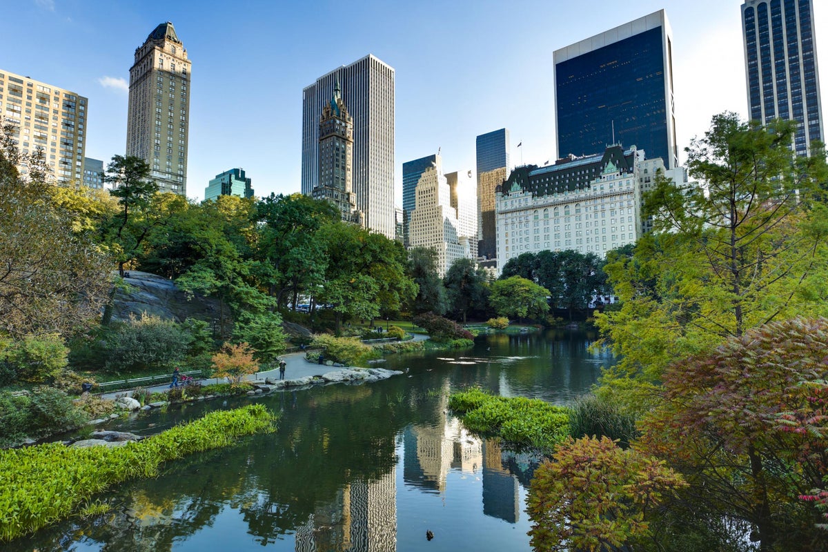 Best virtual travel experiences to enjoy while on coronavirus lockdown ...