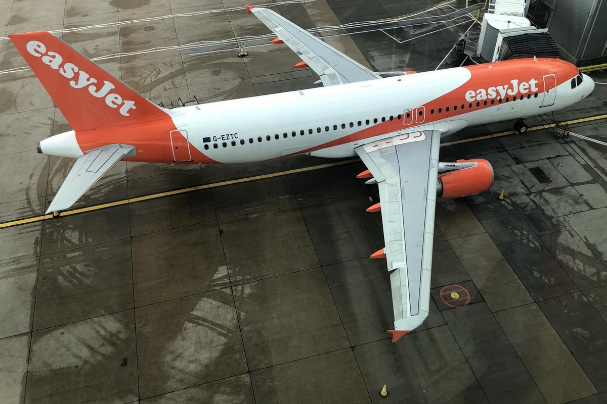 Green flying or greenwashing: Just how good is easyJet’s carbon pledge ...
