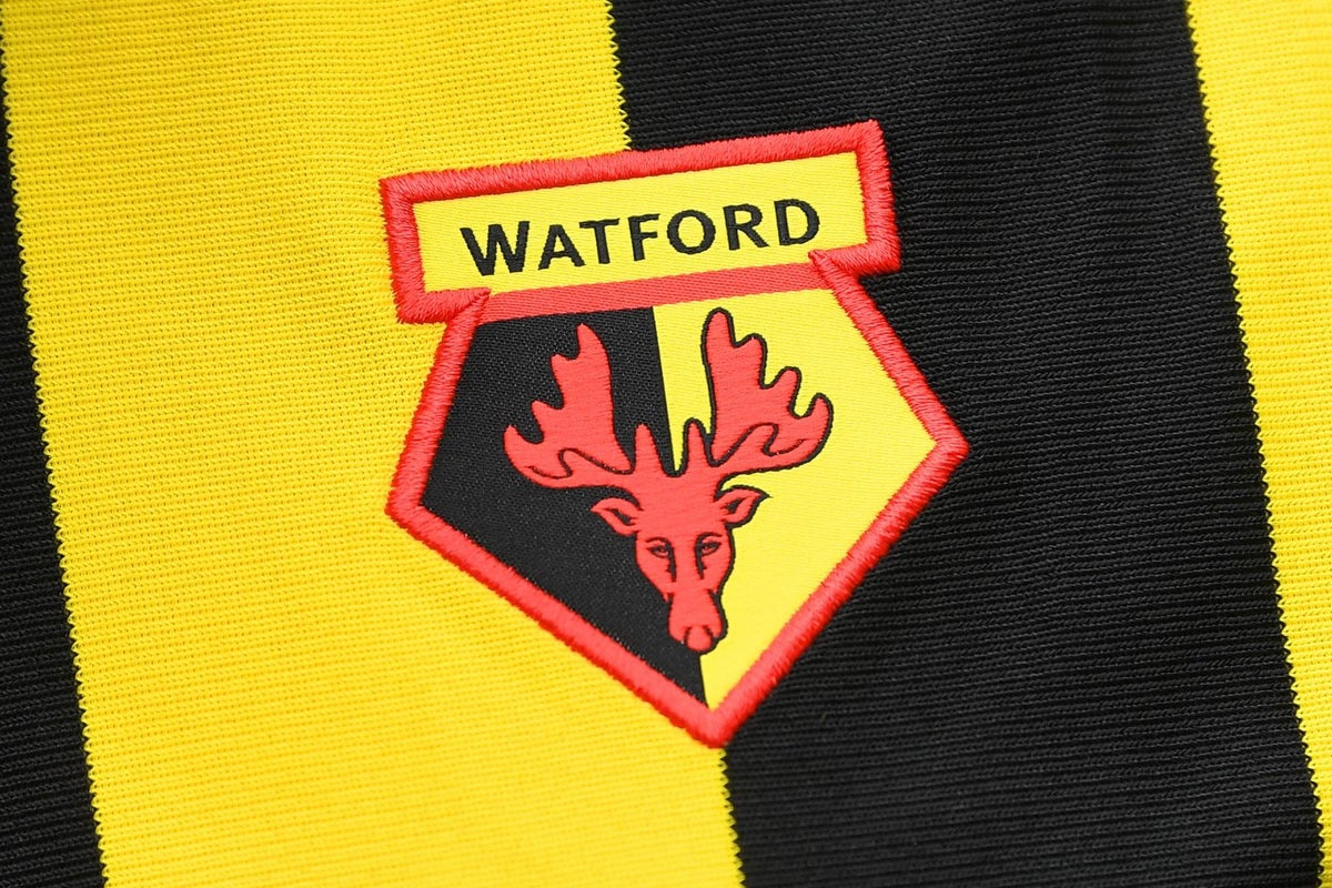 Watford badge: Hornets opt against new crest after 4,000 new designs ...