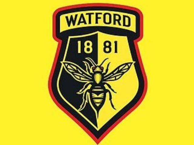 Watford badge: Hornets opt against new crest after 4,000 new designs ...