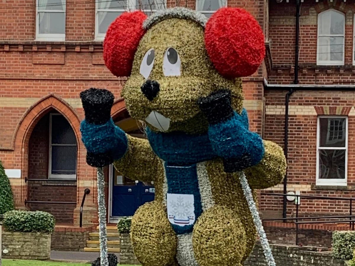 ‘What’s it got to do with Christmas?’ Giant neon marmot replaces tree ...