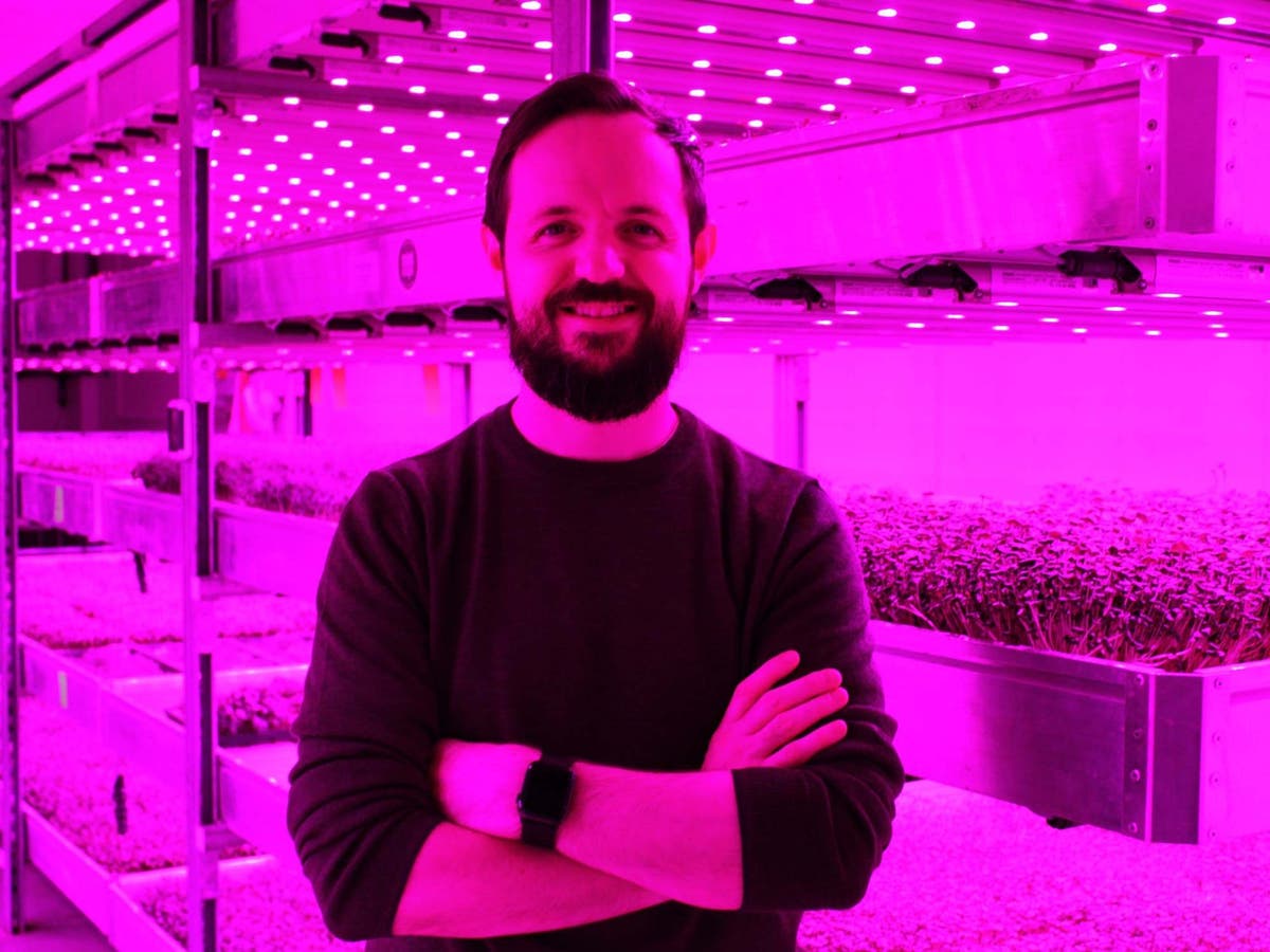 How Jamie and Marie Burrows want to use vertical farming to feed ...