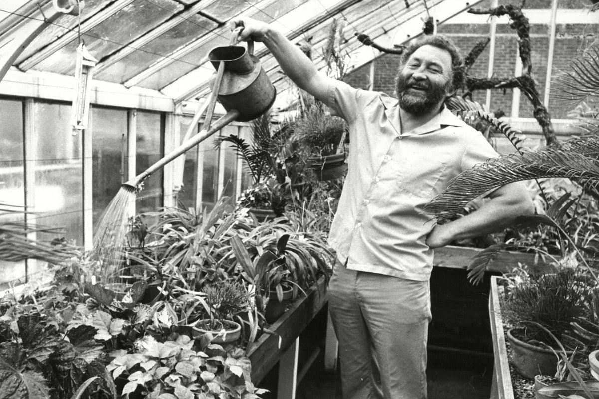 David Bellamy: Botanist and campaigner who became an unlikely household ...