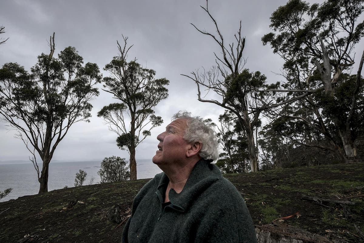 Climate change: The devastation of Australia’s ocean | The Independent ...