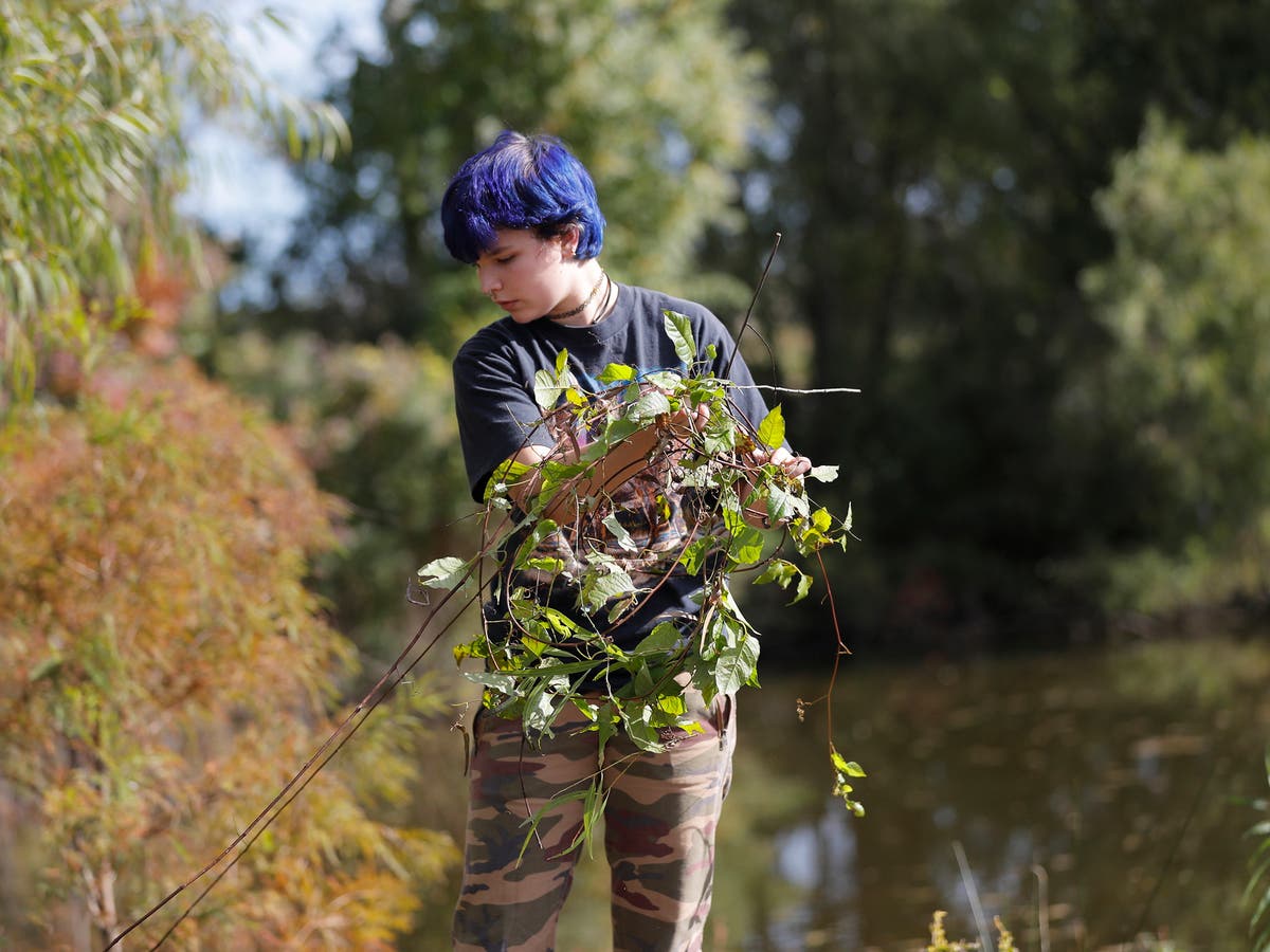 High school prepares students for future of climate change in New ...