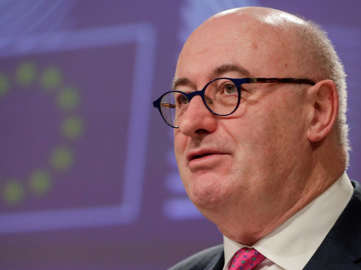 Ireland’s EU commissioner Phil Hogan must explain his lockdown ...
