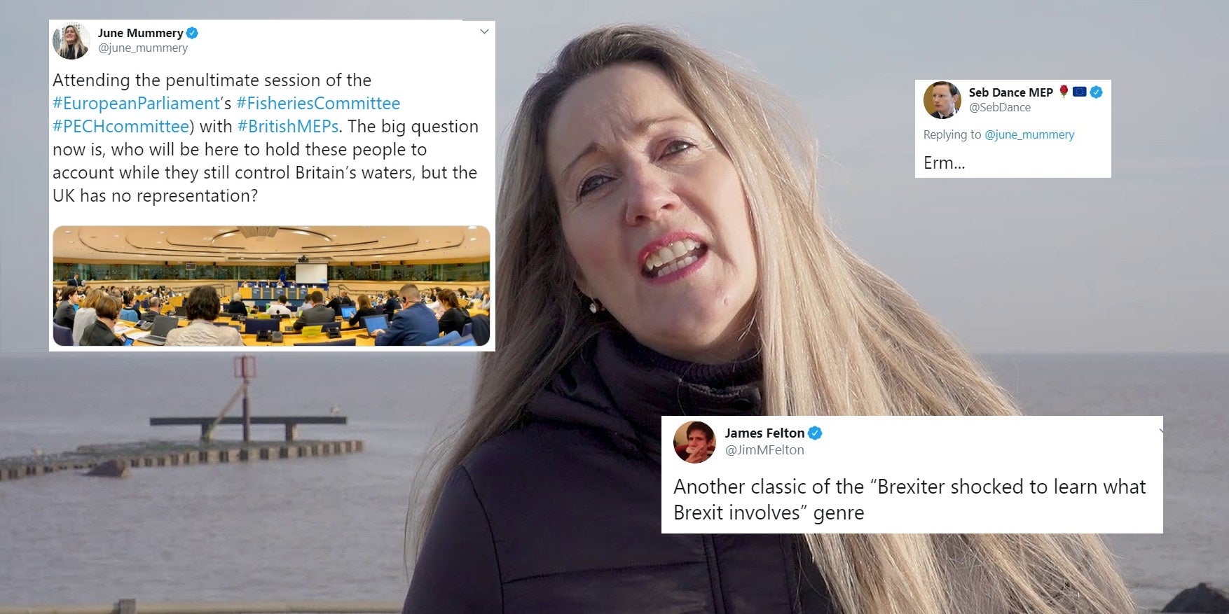 Brexit Party MEP complains that 'no one will hold the EU to account ...