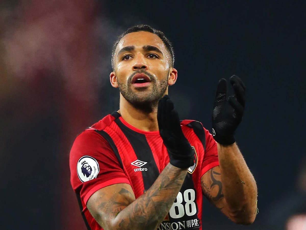 Callum Wilson can still secure spot in England's Euro 2020 squad, says ...
