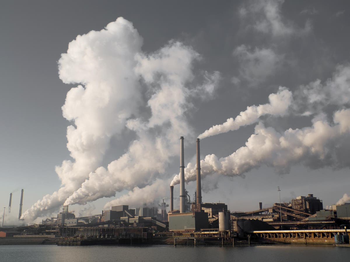 Japan to build up to 22 new coal power plants despite climate emergency ...