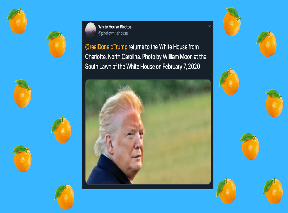These pictures of Trump's unbelievably orange face are genuinely ...