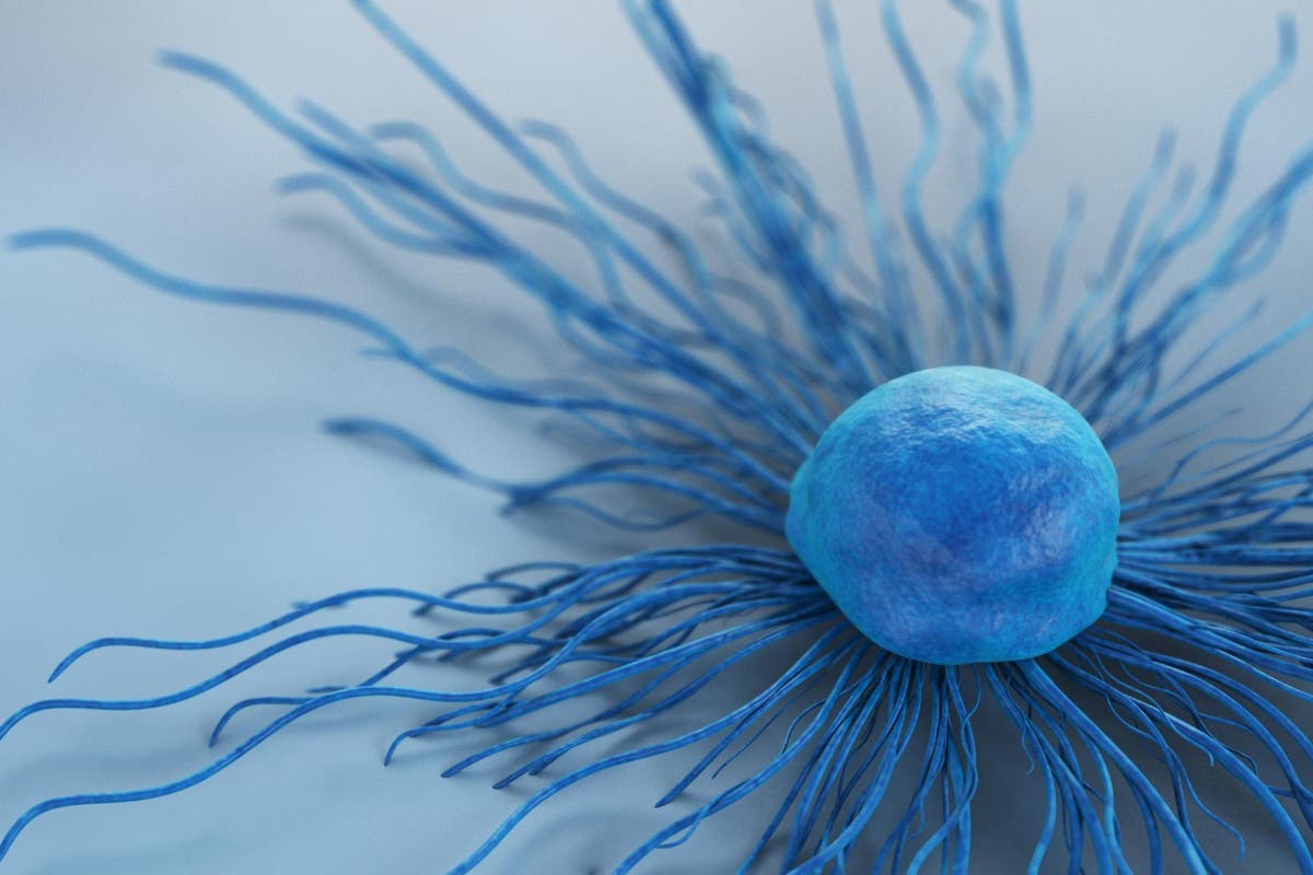 Cervical cancer could be prevented with a single injection, suggests ...