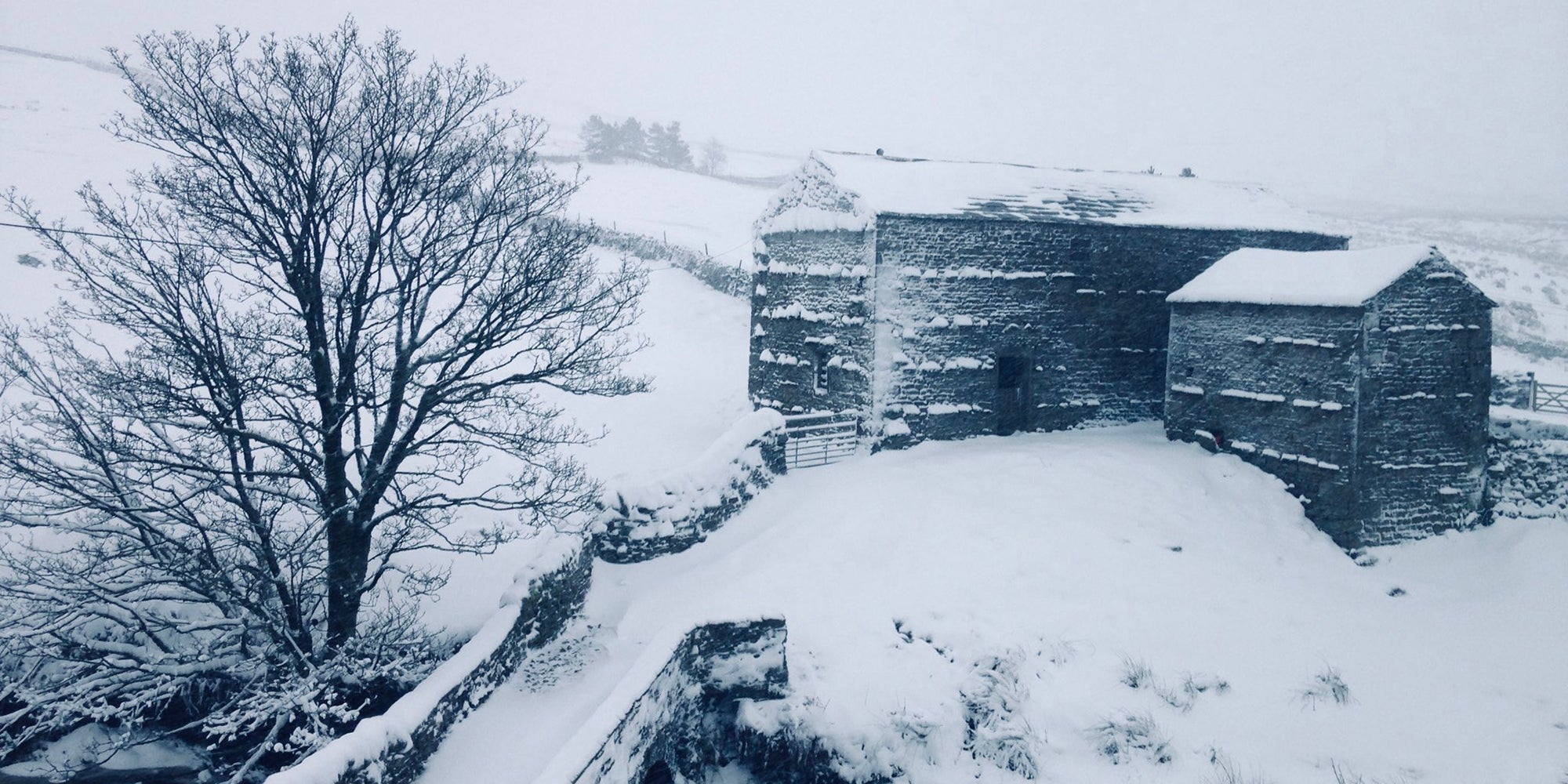 UK snow: The most delightful pictures of people loving the weather ...