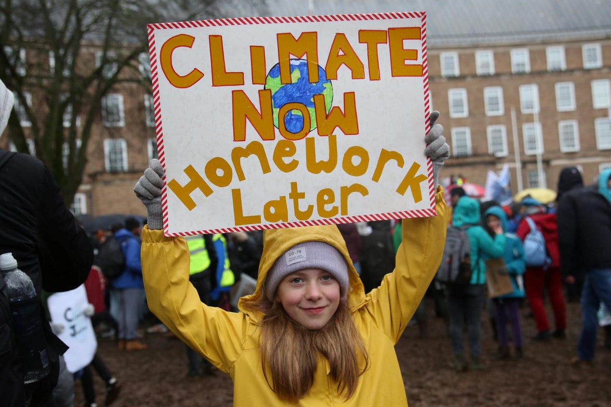 Greta Thunberg climate protest: The best signs in Bristol | The ...