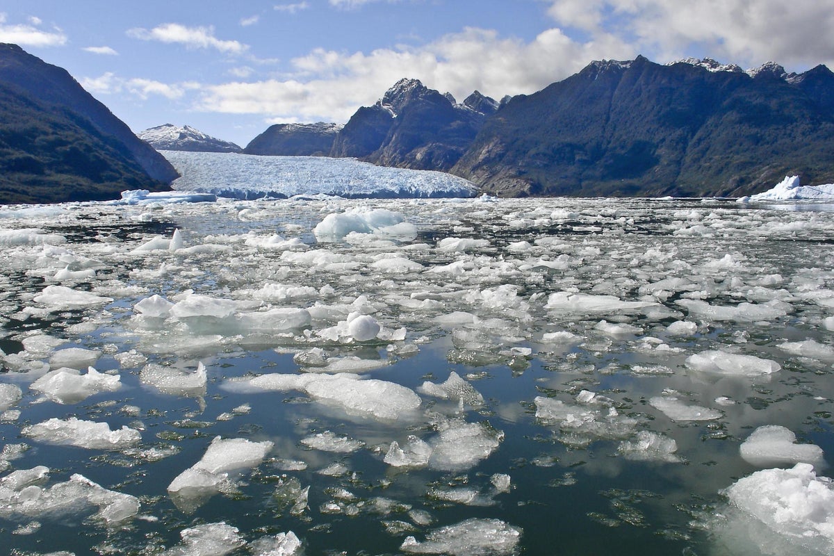 ‘Worst case scenario’: Polar ice caps and Greenland ice sheet melting ...