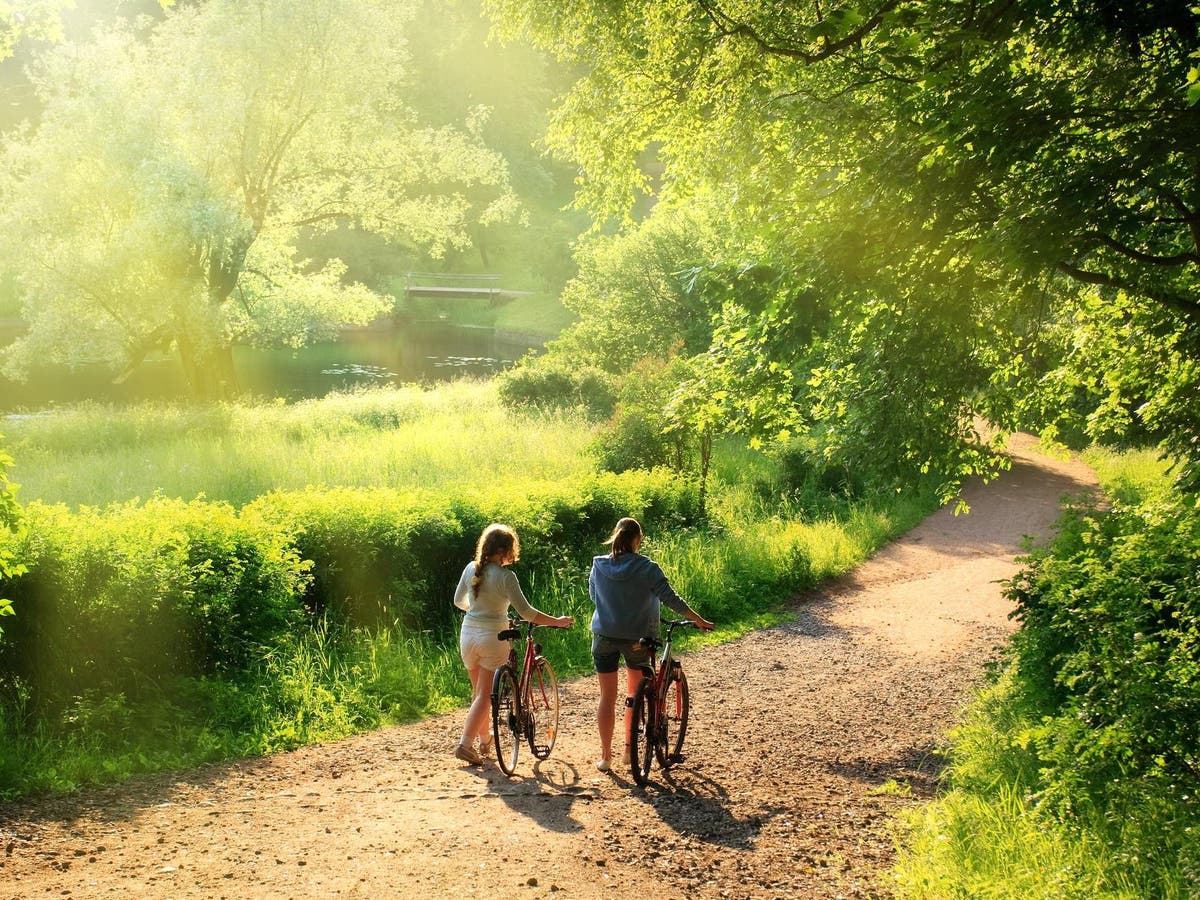 Coronavirus: National Trust to open parks and gardens for free during ...