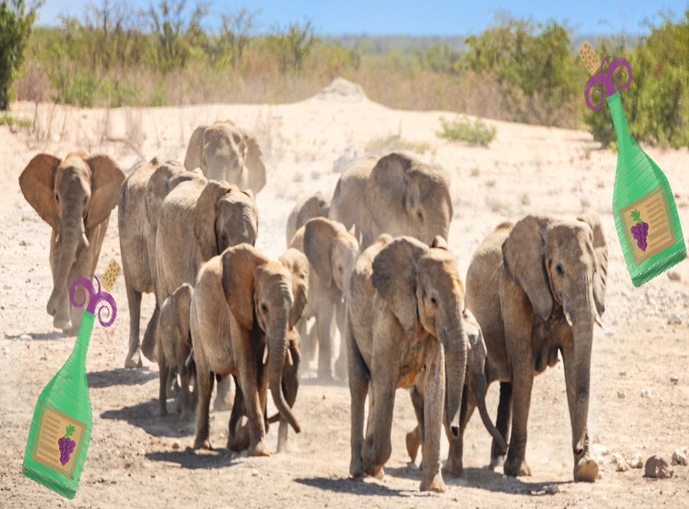 This story about drunk elephants in China is fake | indy100 | indy100