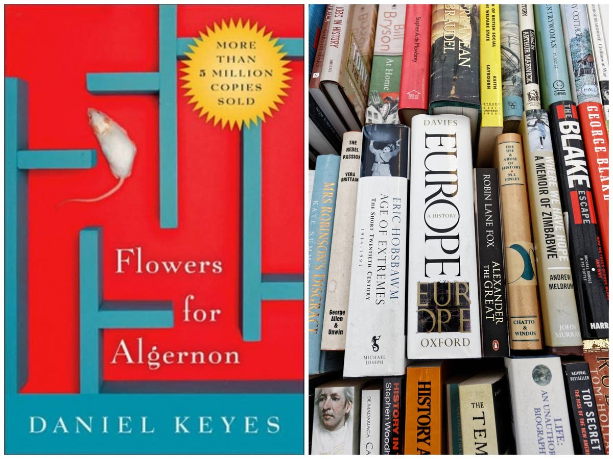 Want to read more while in quarantine? The Independent is starting a ...